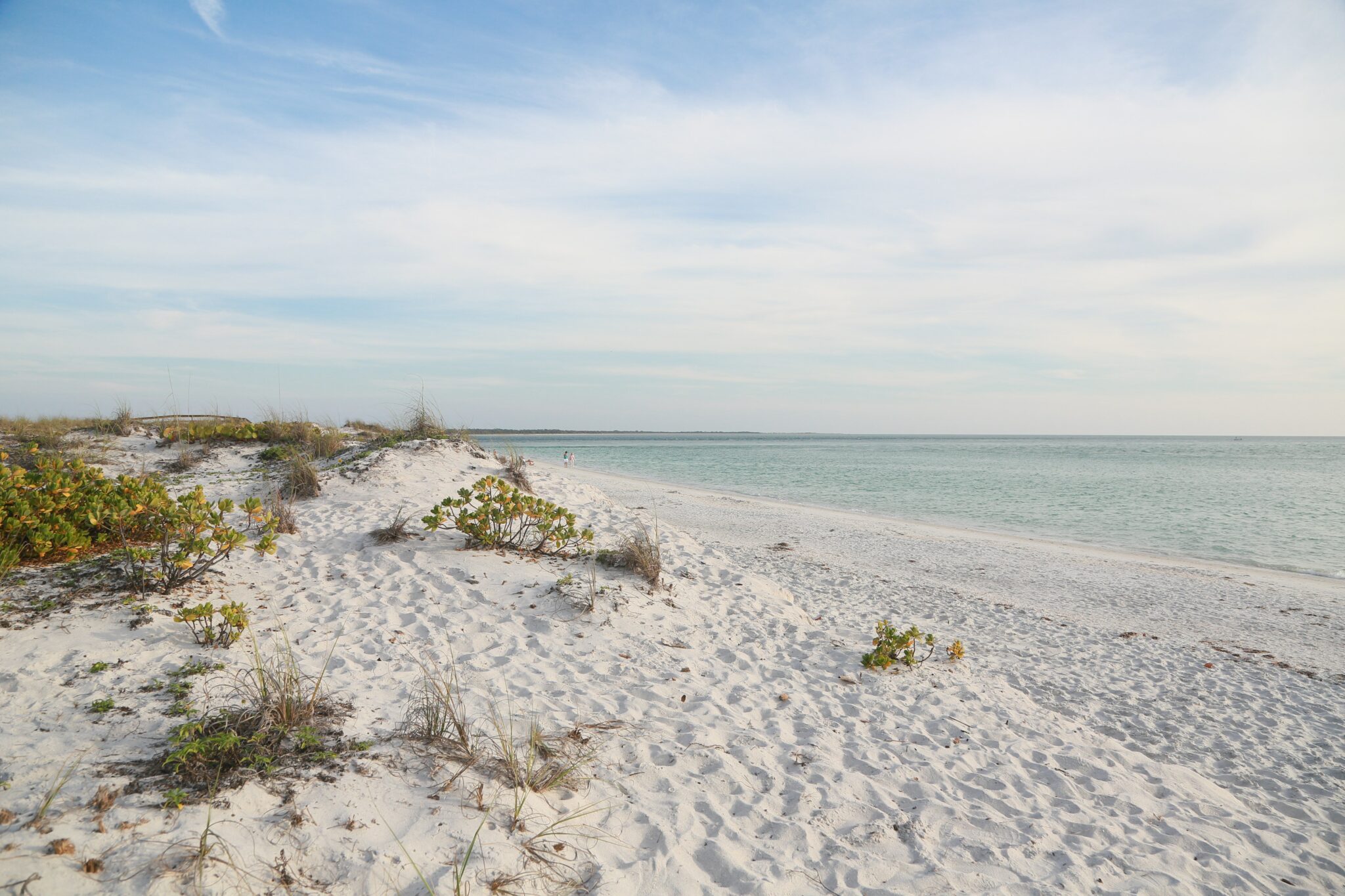 Who Owns Submerged Land in Florida?