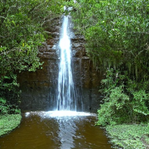 What Is the Biggest Waterfall in Florida? — TravelMagma